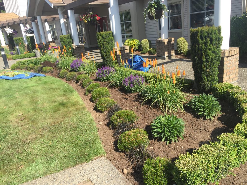 Landscape Upgrades - Contour Landscaping